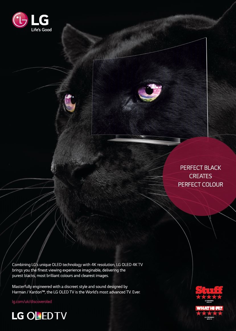 LG launches OLED TV advertising campaign - IER Daily